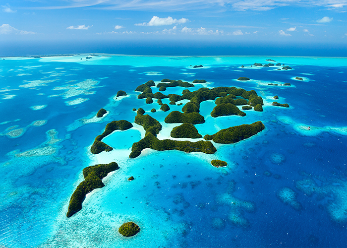 Palaos: descubre el paraíso perdido en el Pacífico | KAYAK