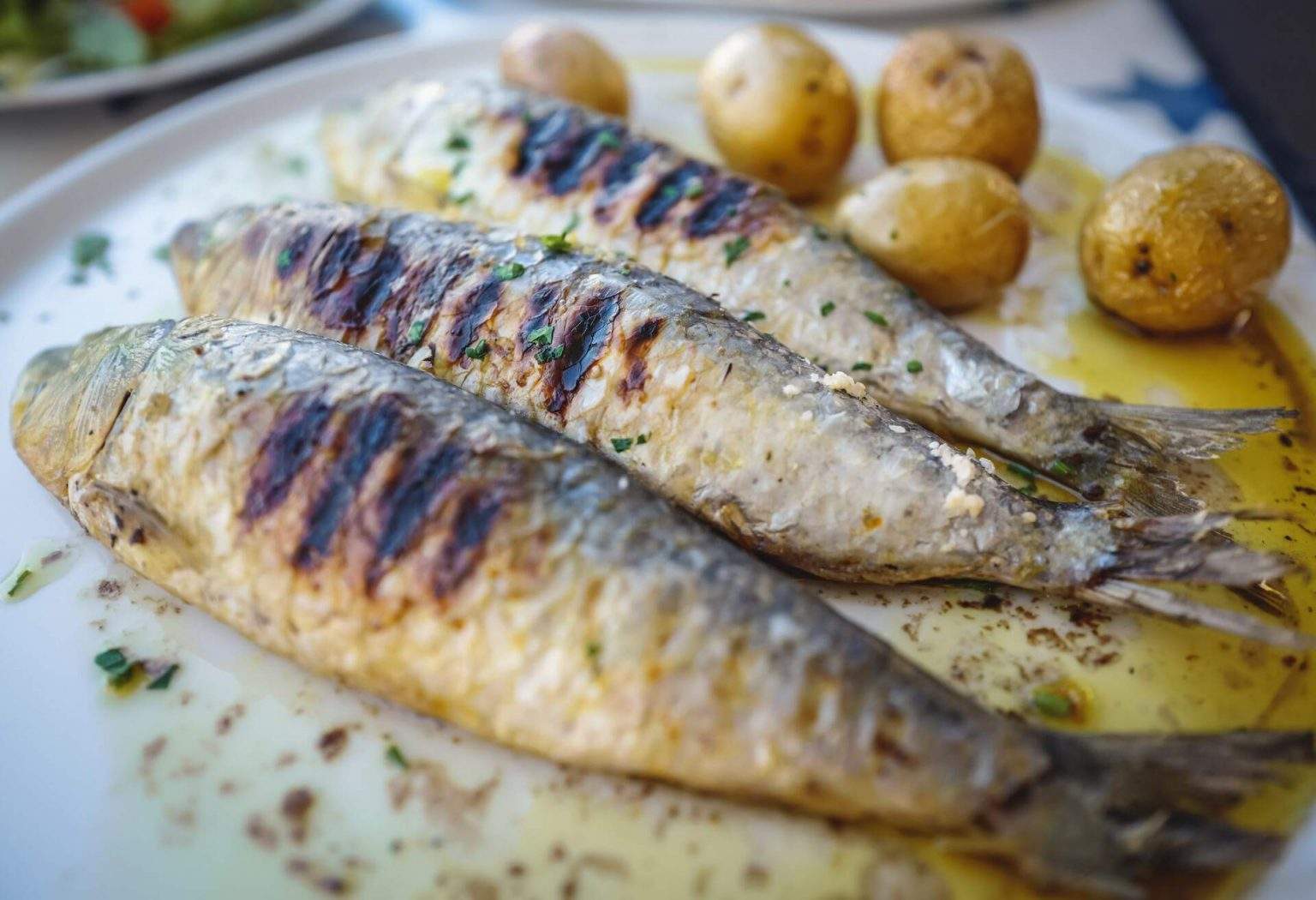 La Comida Típica de Portugal: Comer & Disfrutar | KAYAK