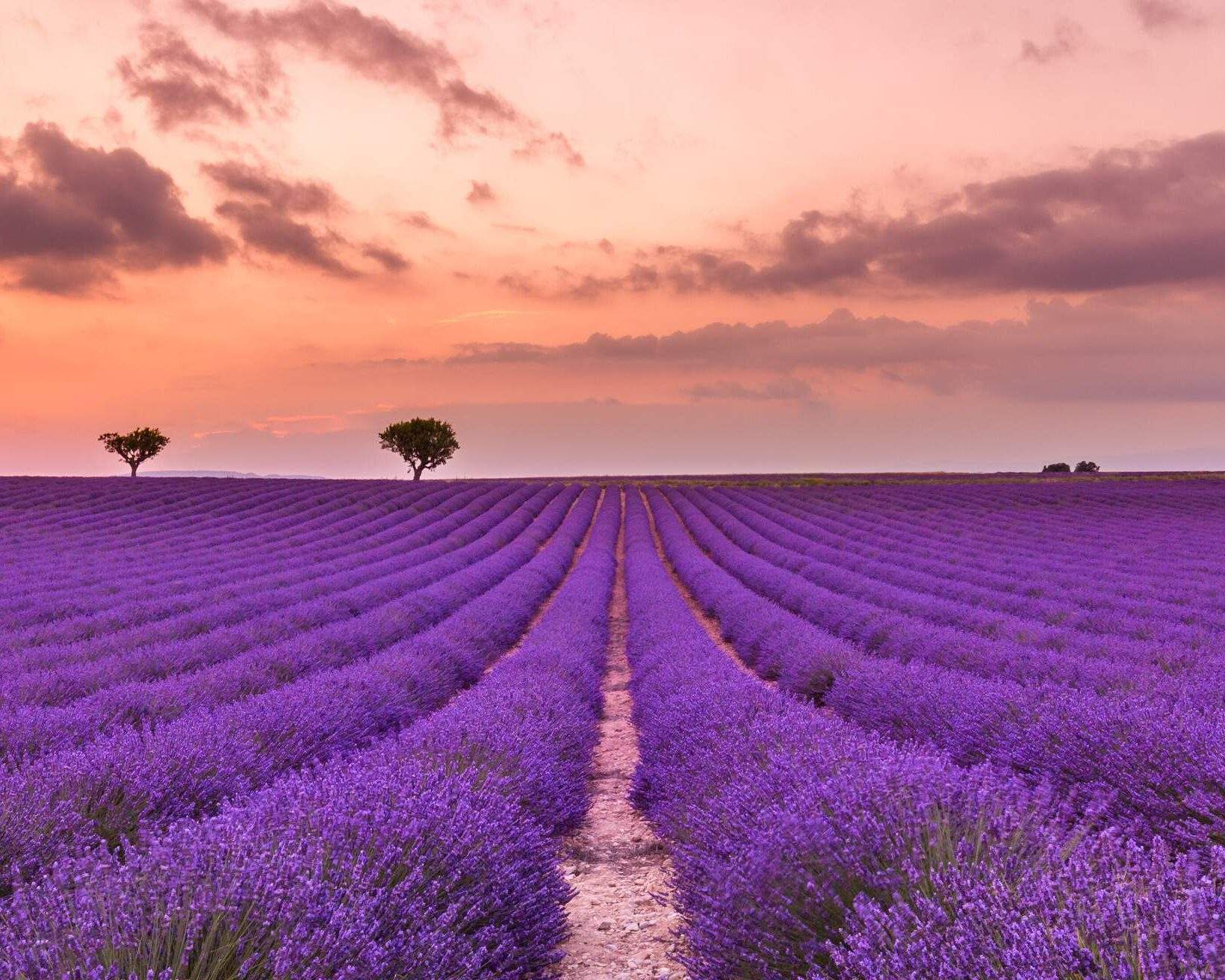 12 lugares increíbles que ver en Francia | KAYAK