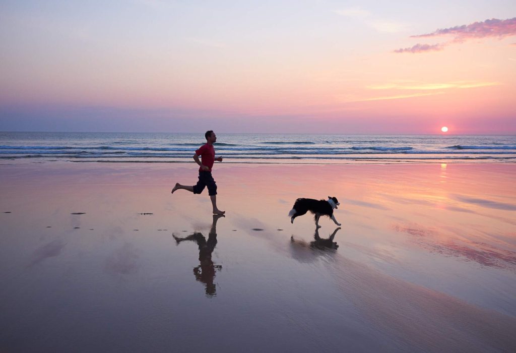 Consejos para ir con perro a la playa | KAYAK