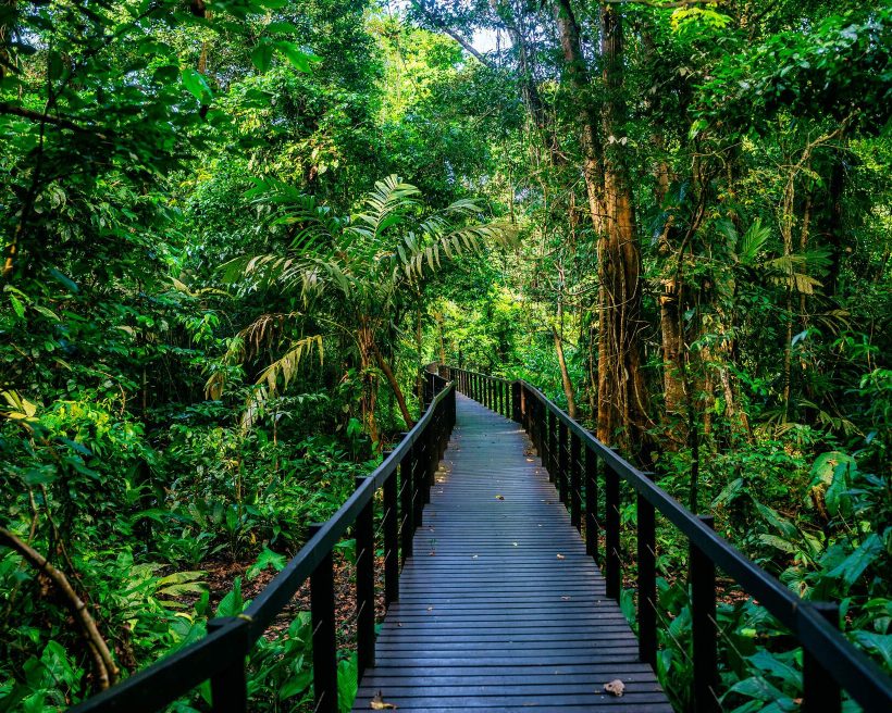 Top 16 de lugares imprescindibles que ver en Costa Rica | KAYAK